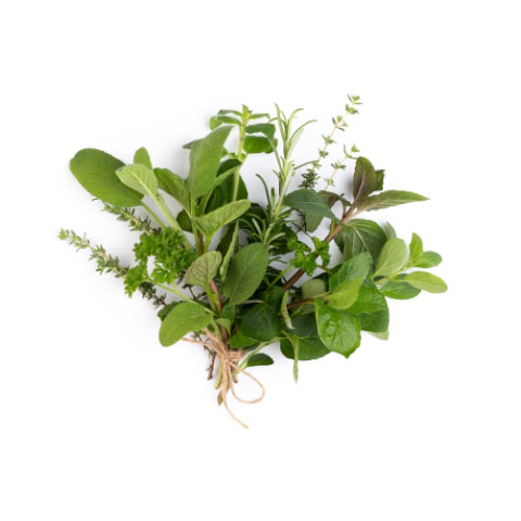 Wholesale & Bulk Organic Herbs | High Quality Organics