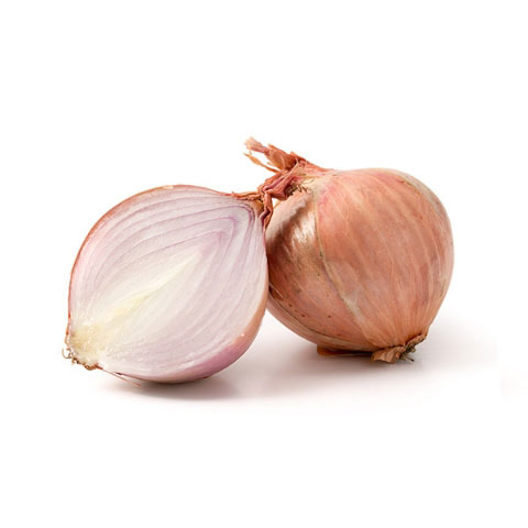 Wholesale Bulk Organic Onions | High Quality Organics