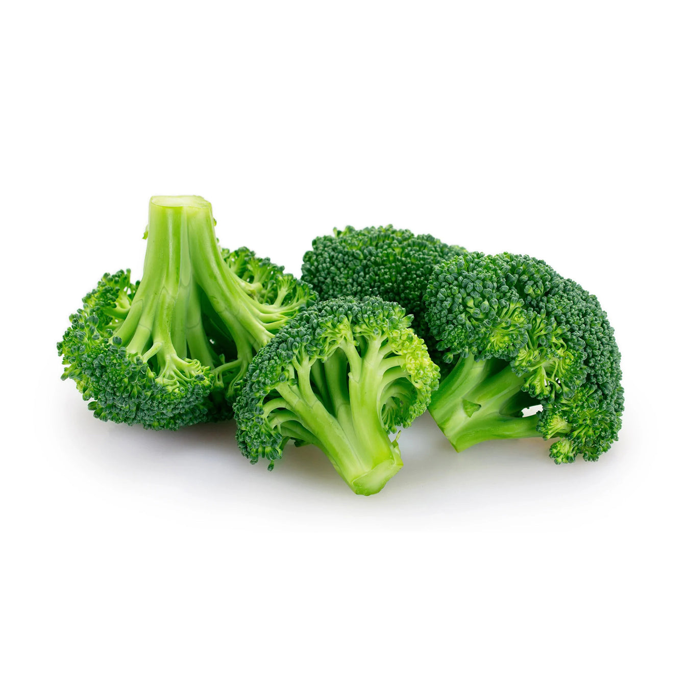 Organic Broccoli Powder | Dried Citrus & Vegetables