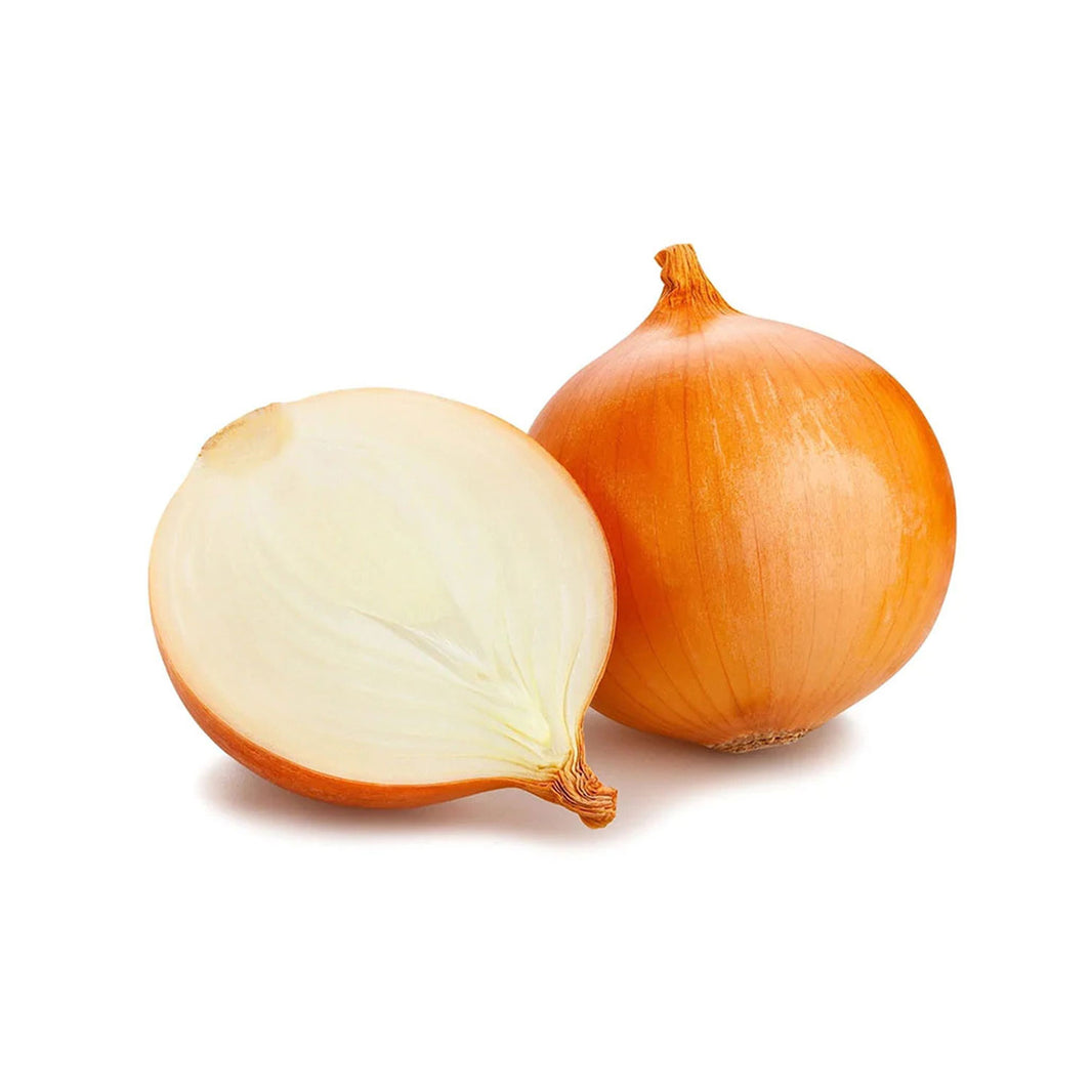 Wholesale Bulk Organic Onions | High Quality Organics